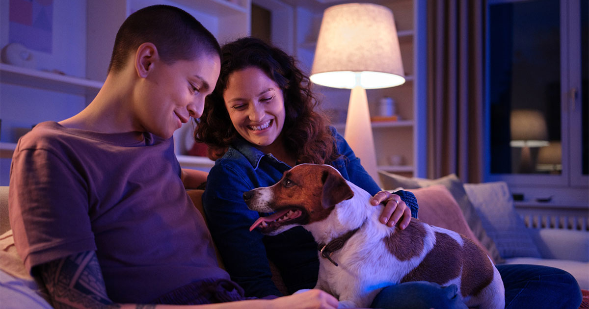 Swisscom launches ‘sure’ | Swisscom