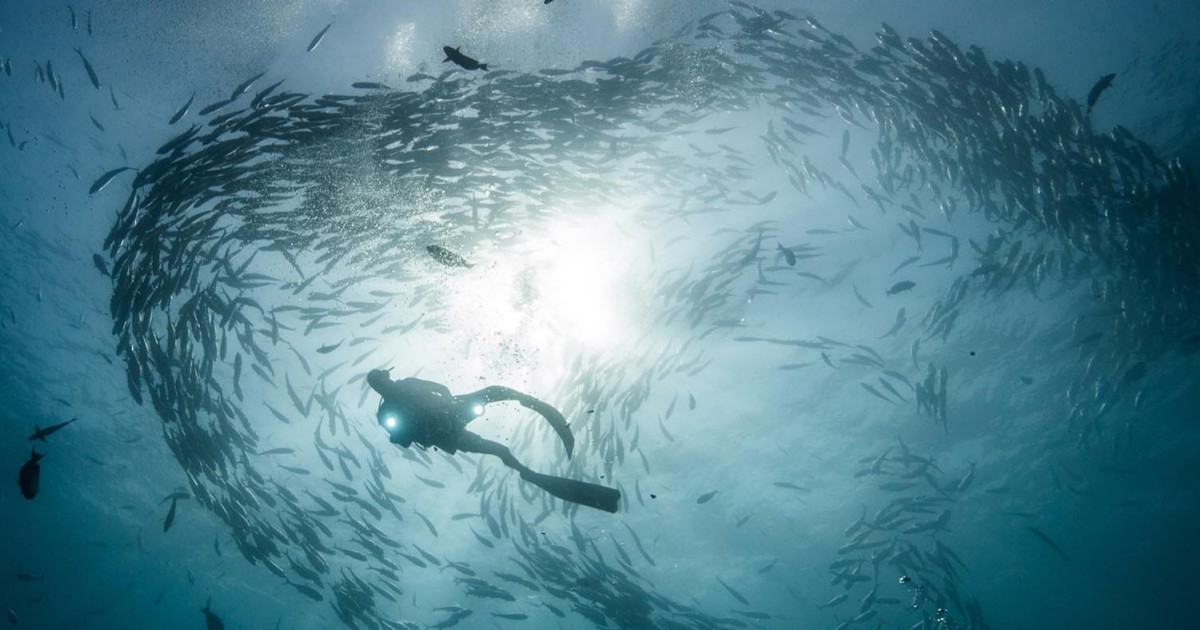 Threat hunting: actively searching for incidents | Swisscom